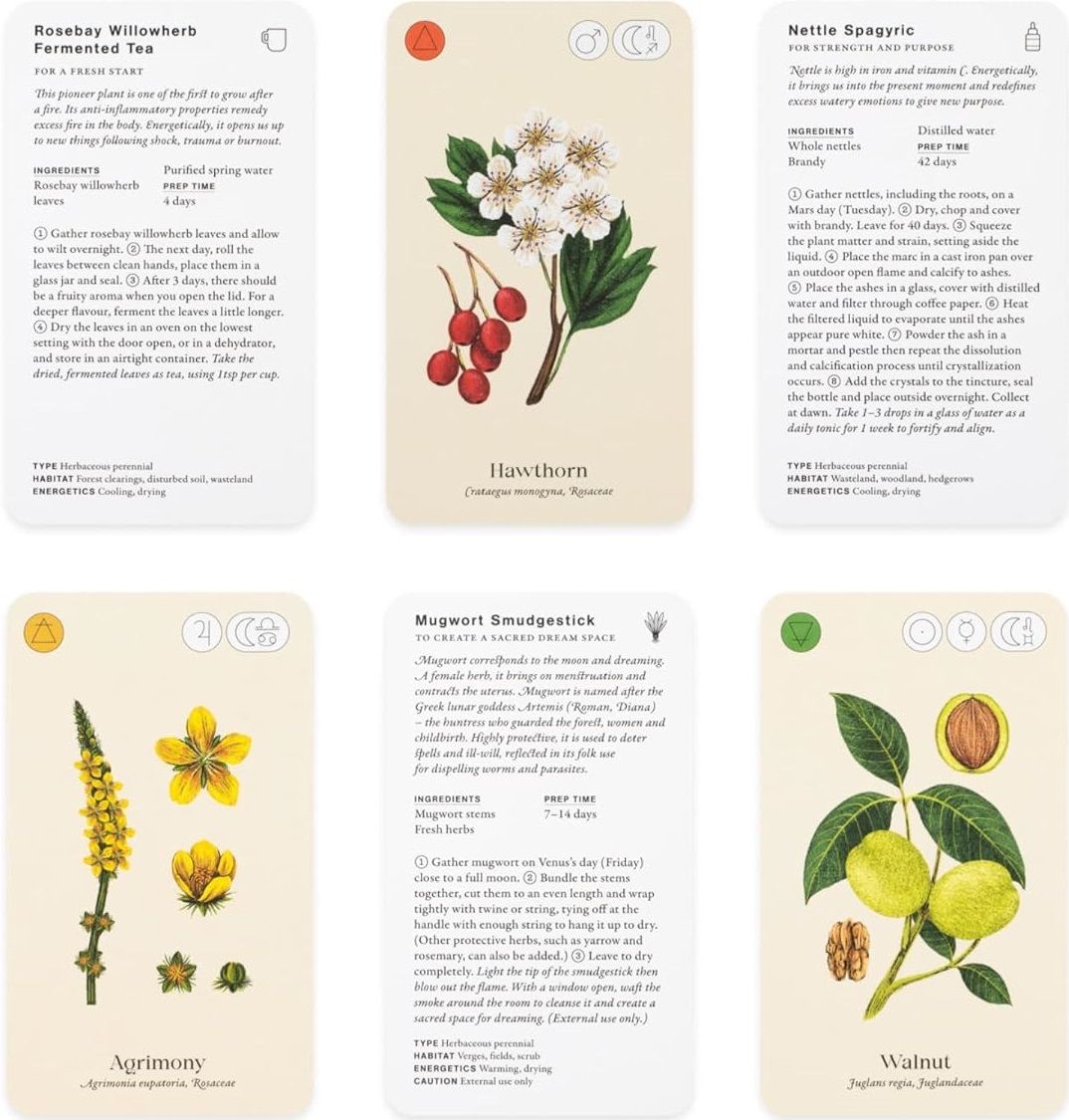 Wild Alchemy Lab (52-Card Deck and Booklet) | Джема Фостър | Цена ...